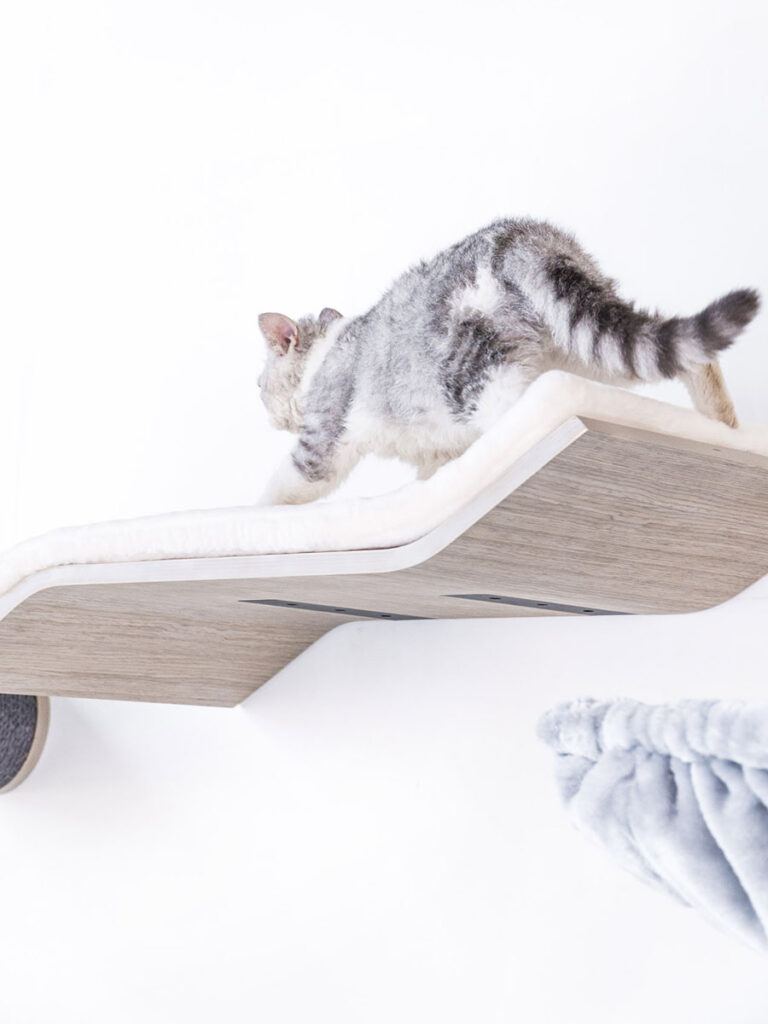 Kattenmuur Wave 70 - Petrebels