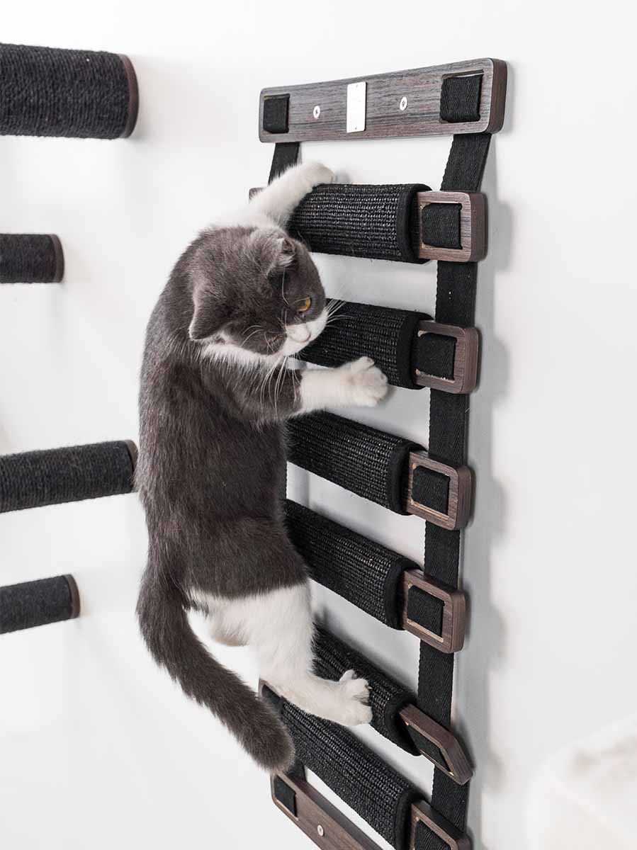 Kattenmuur Ladder 91 - Wengé - Muurbevestiging - 91 cm - design - Petrebels