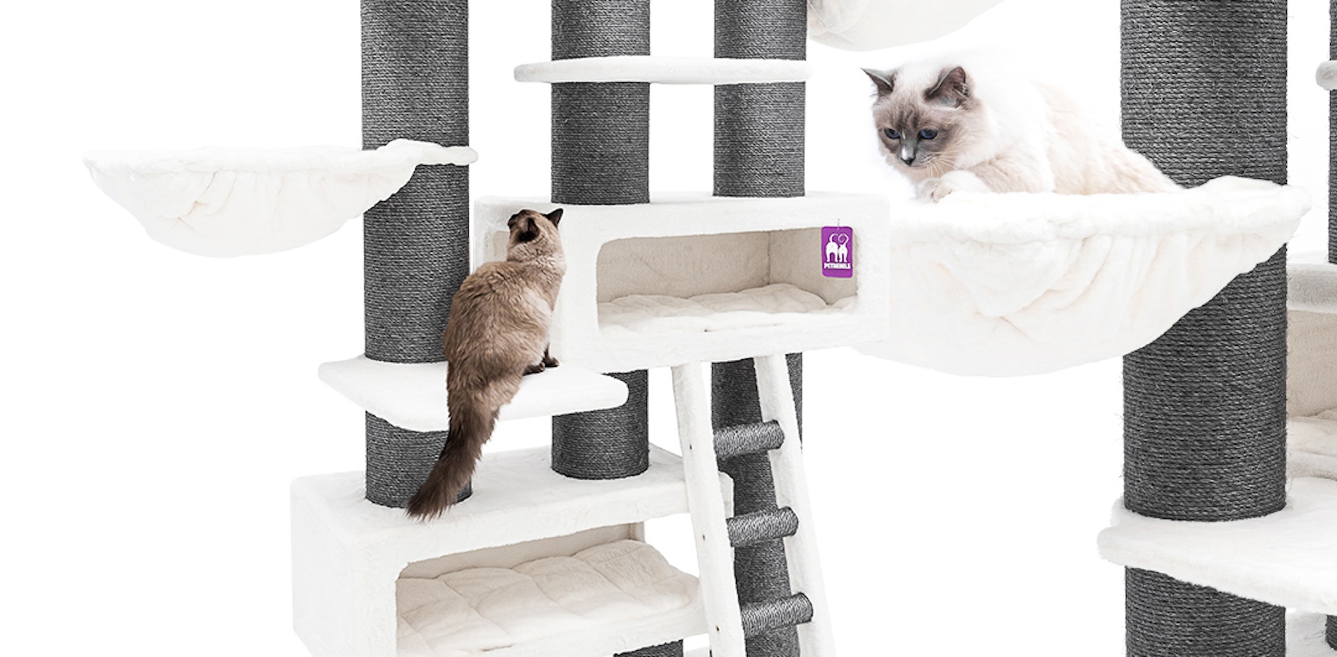 Top 5 beste krabpalen voor grote kattenrassen | Petrebels